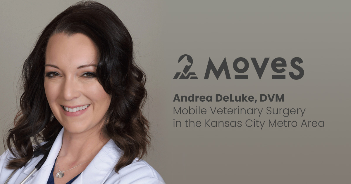 Dr. Andrea DeLuke Case Referral – MOVES | Mobile Veterinary Specialists