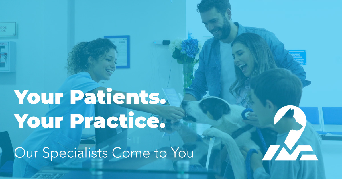 MOVES | Mobile Veterinary Specialists – Board-certified veterinary ...