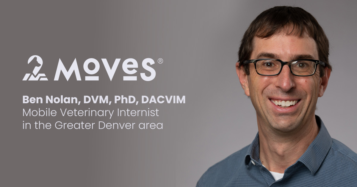 Benjamin Nolan, DVM, PhD, DACVIM – MOVES | Mobile Veterinary Specialists