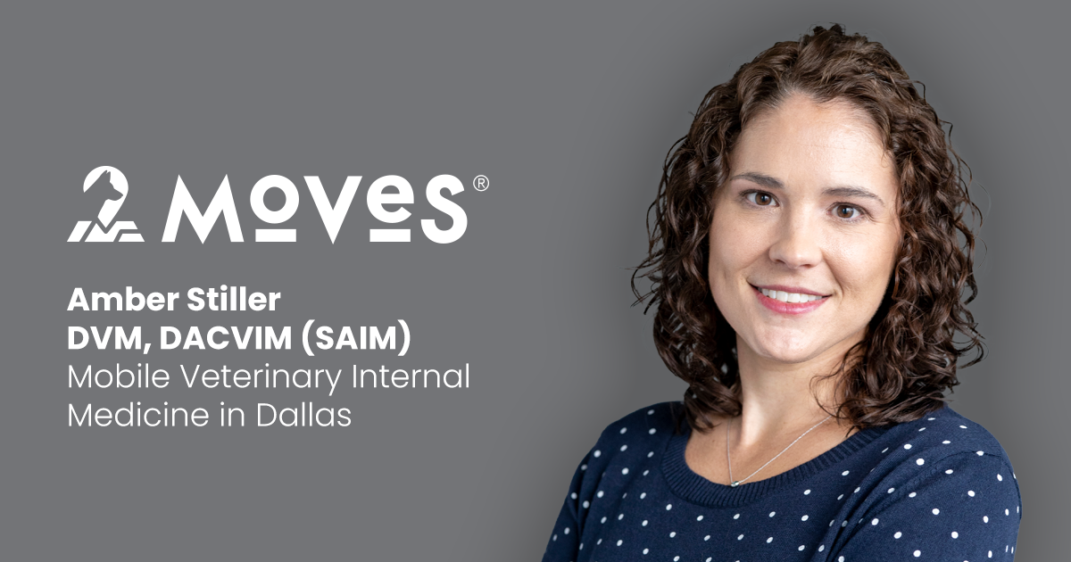 Dallas Mobile Veterinary Specialists – MOVES | Mobile Veterinary ...